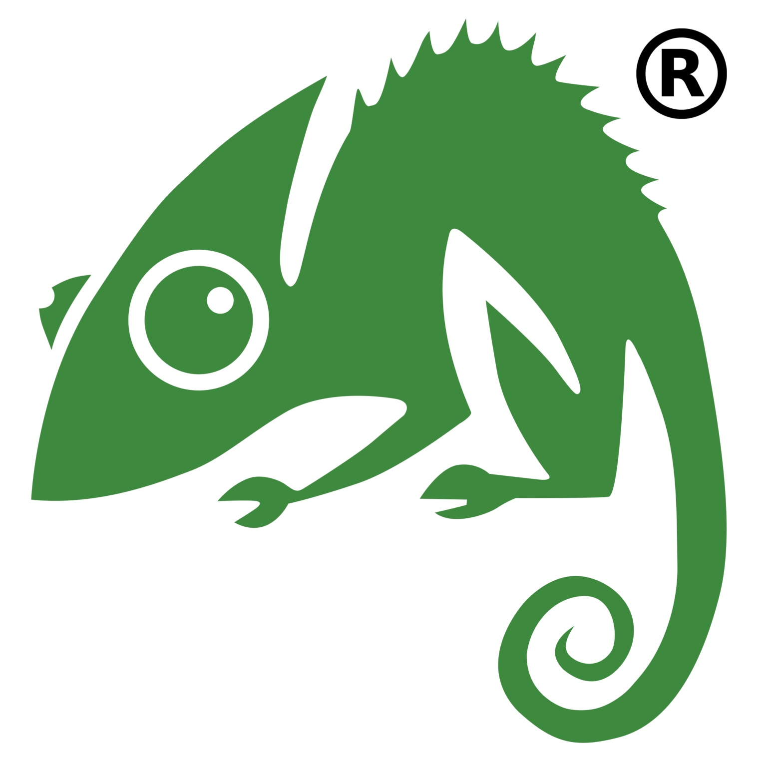 Chameleon | Branding, Web Design, SEO and Digital Marketing Company